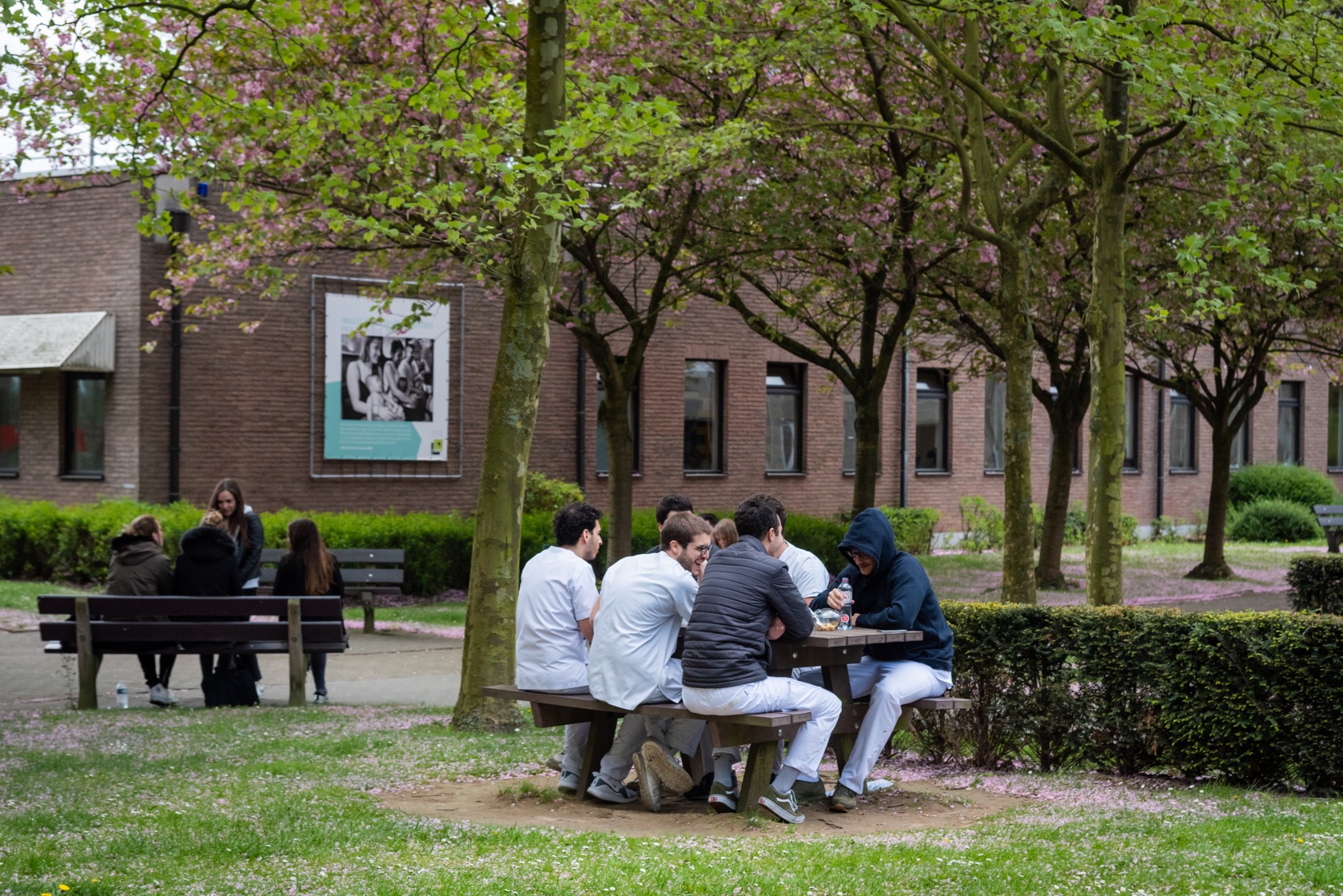 Vie sur le campus Erasme - Site du Pôle Santé